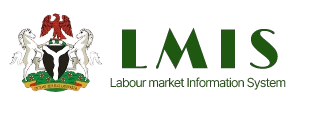 Labour Market Information System